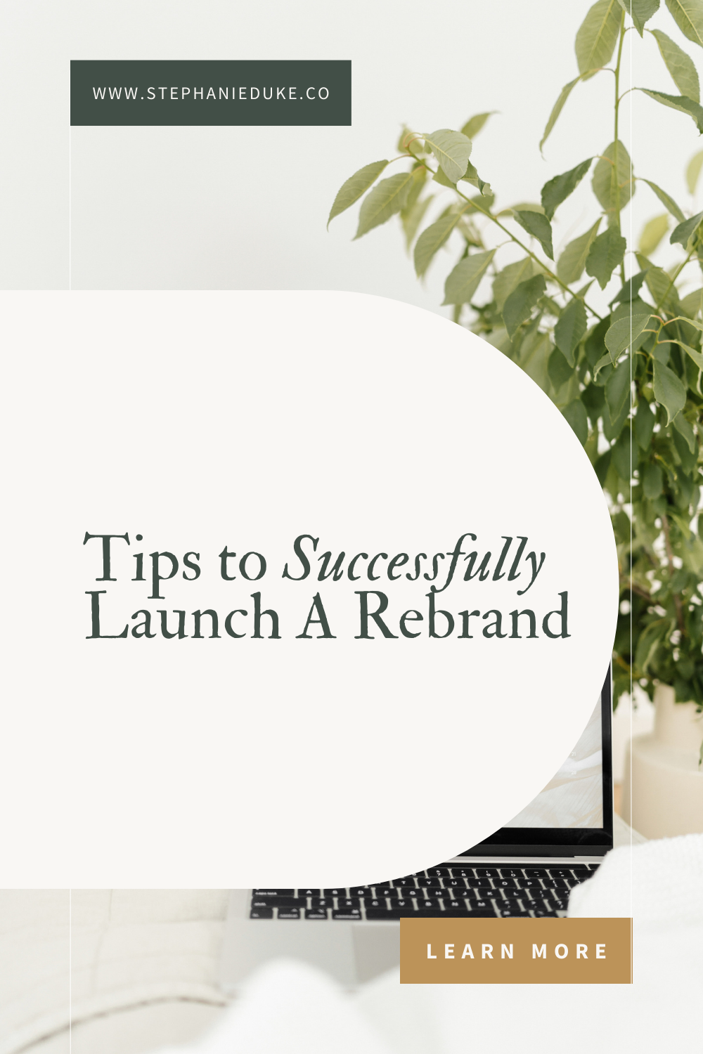How to Launch a Successful Rebrand with Dolly DeLong